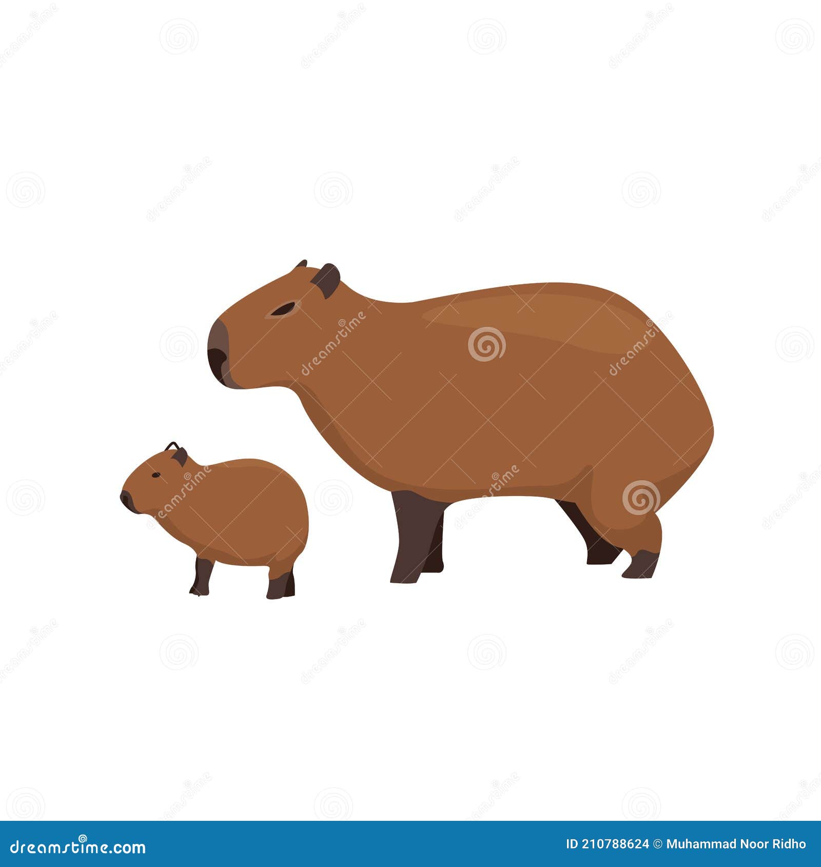 Capybara Family Animal Flat Vector Stock Vector - Illustration of large ...