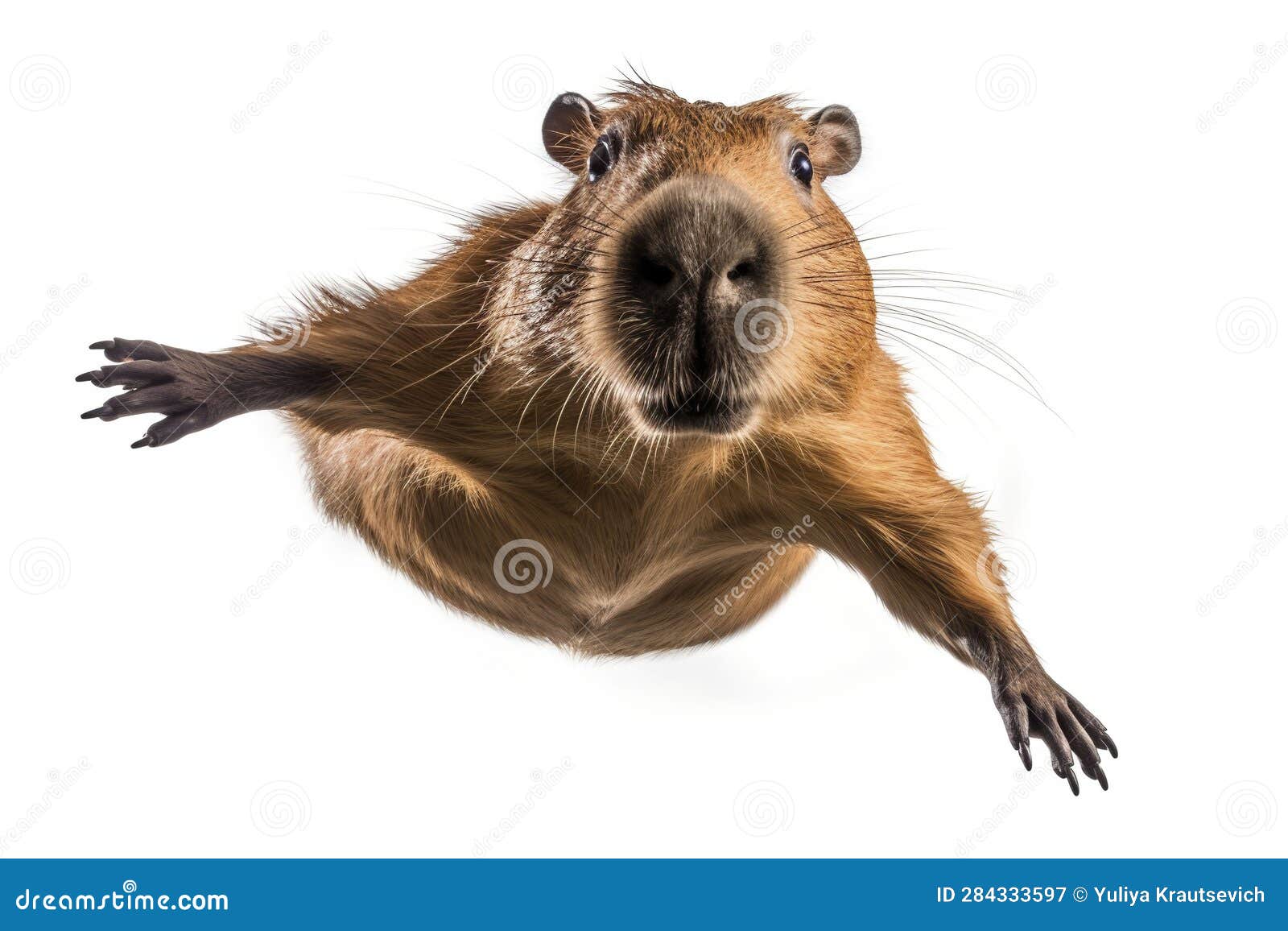 Capybara Flying in the Air. Generative AI Stock Illustration ...