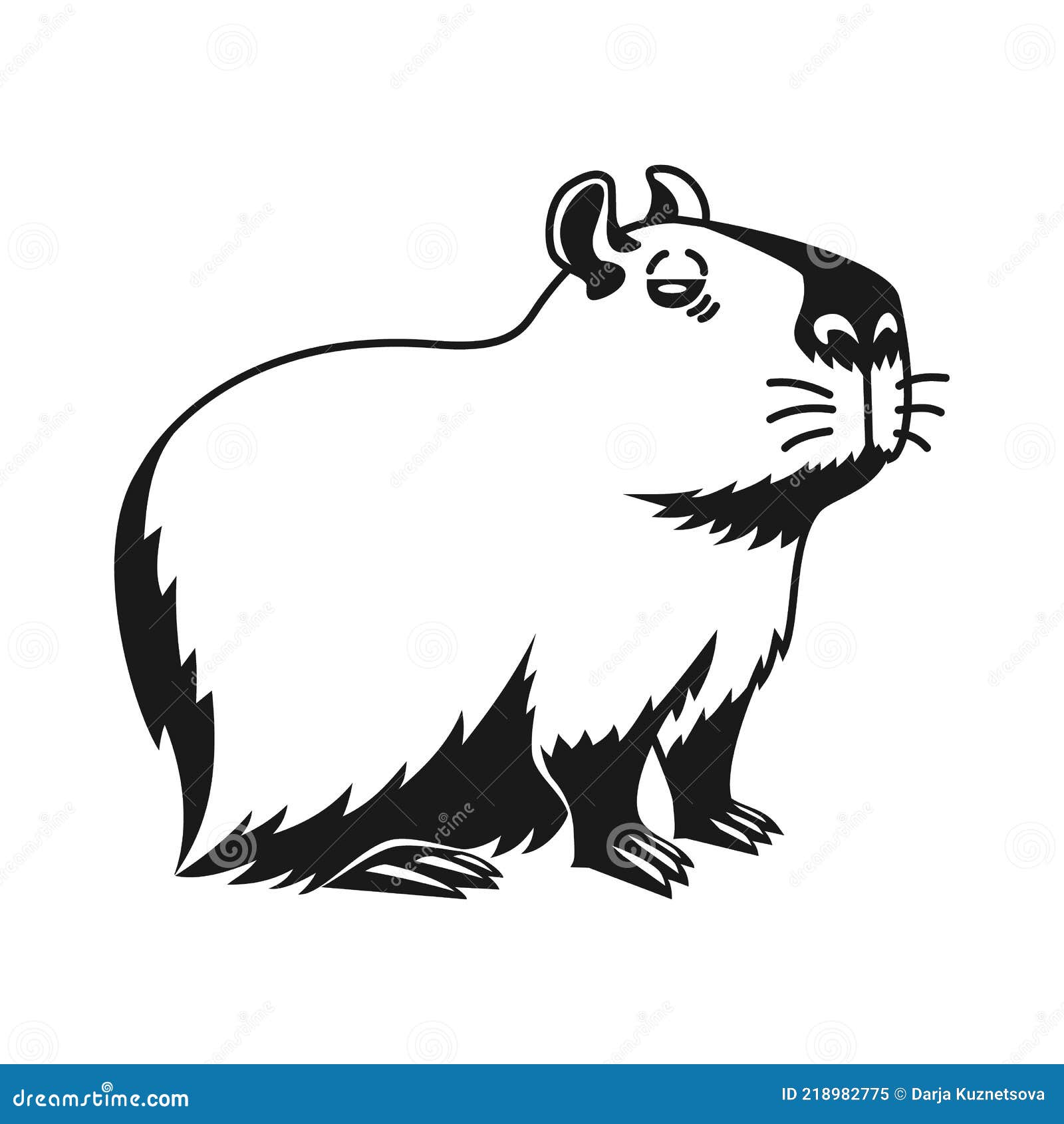 Capybara Hand Drawing. Animals Of South America Series. Vintage ...