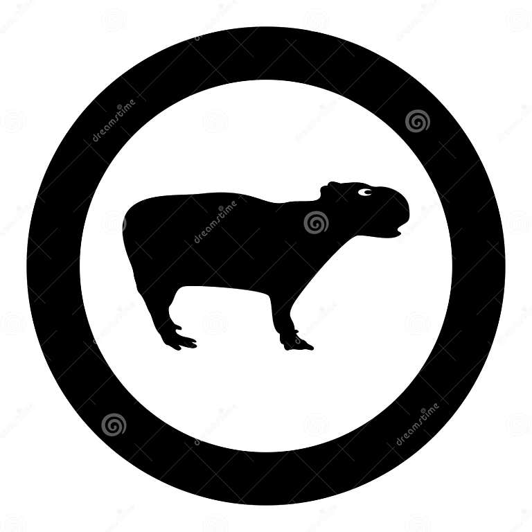 Capybara Icon in Circle Round Black Color Vector Illustration Image ...