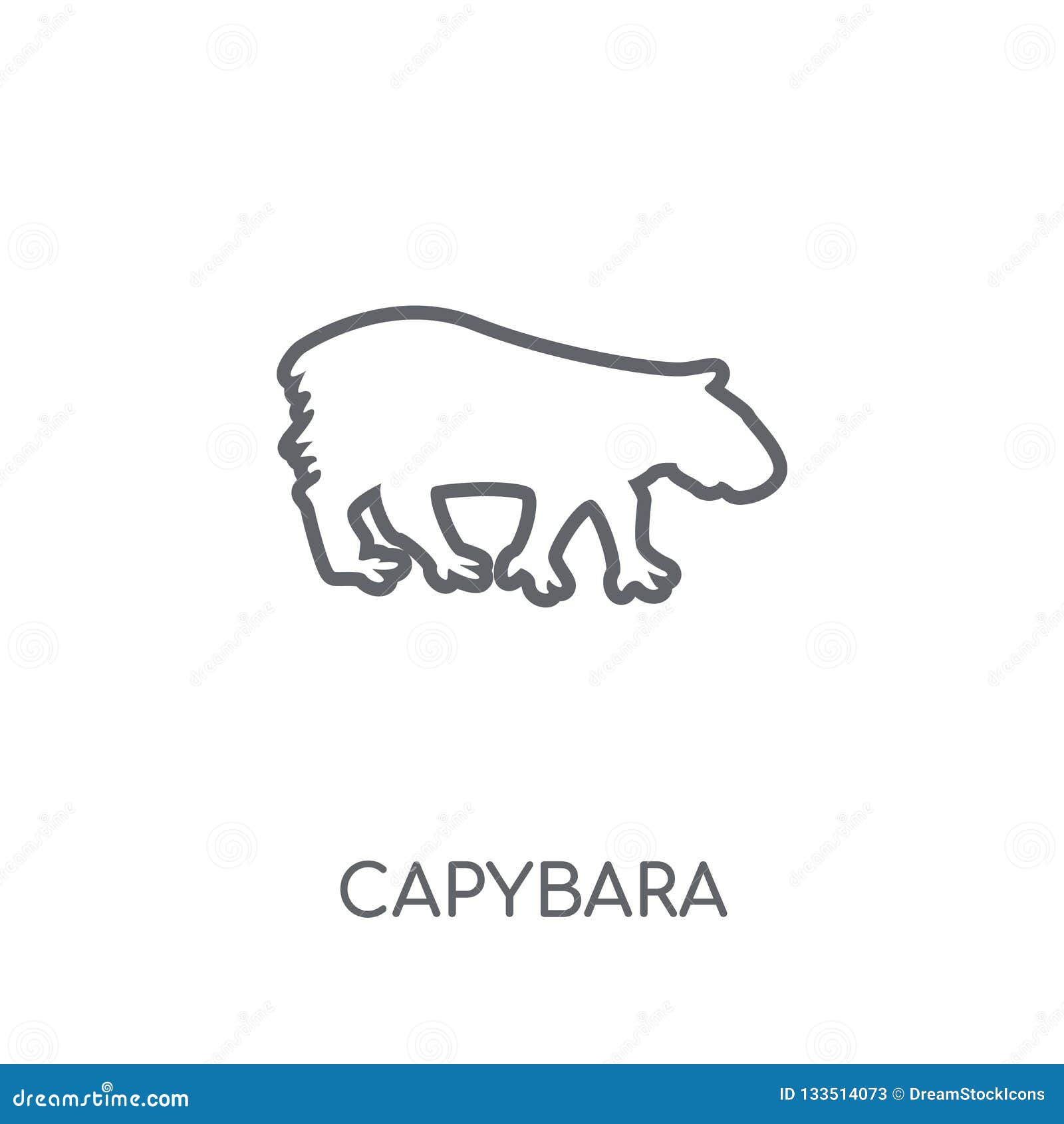 Capybara Icon. Trendy Modern Flat Linear Vector Capybara Icon On ...