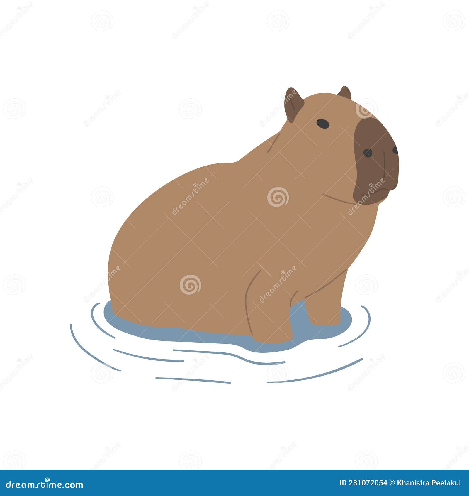 Capybara Single 18 Vector Illustration | CartoonDealer.com #281072054