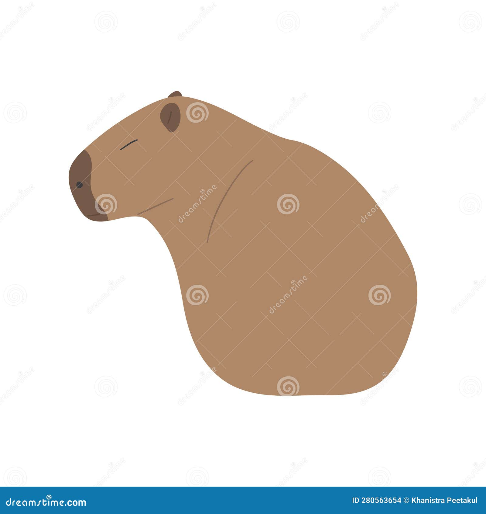 Capybara Single 18 Vector Illustration | CartoonDealer.com #281072054