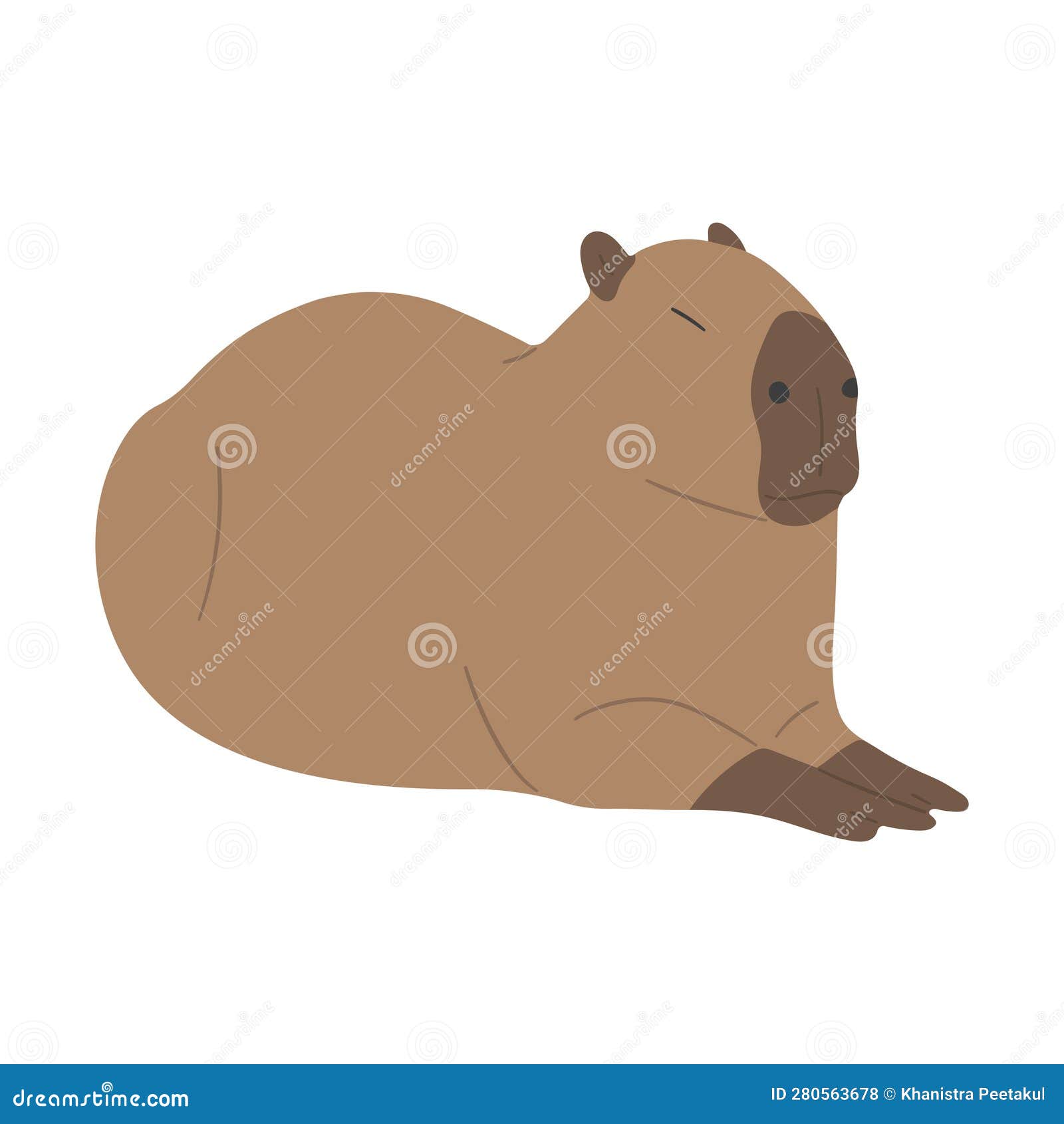 Capybara Single 18 Vector Illustration | CartoonDealer.com #281072054