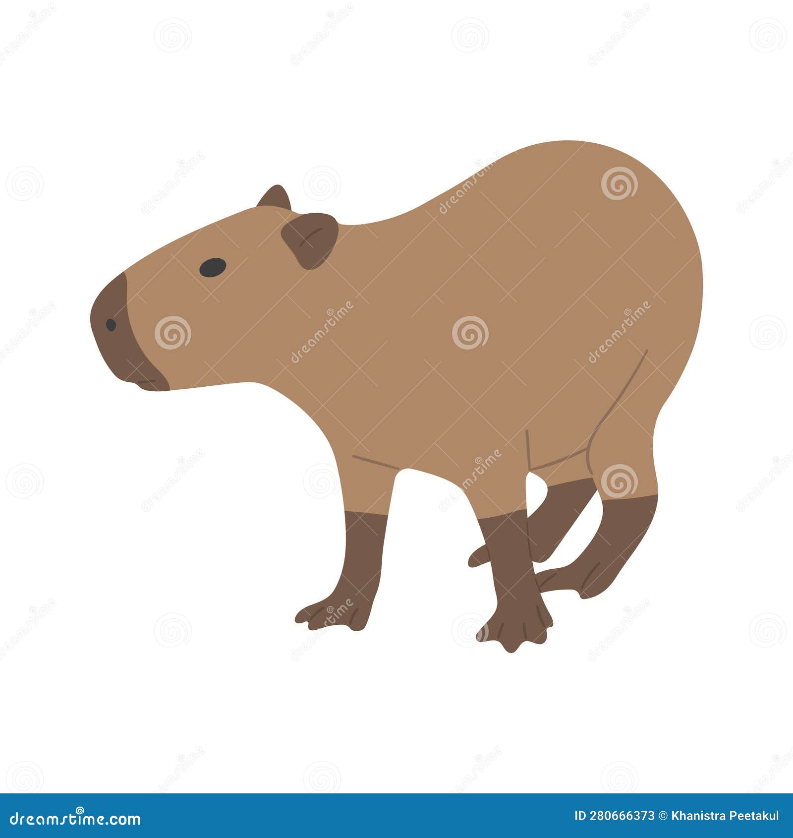 Capybara Single 18 Vector Illustration | CartoonDealer.com #281072054