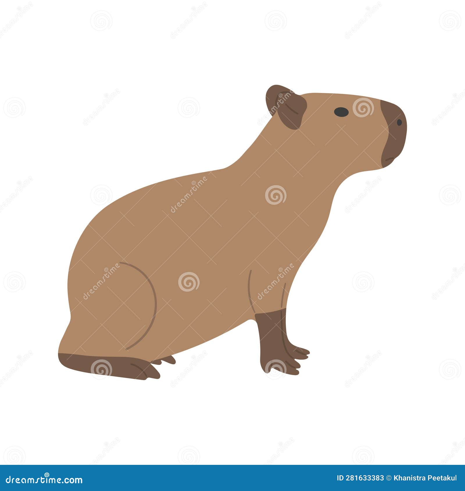 Capybara Single 16 Vector Illustration | CartoonDealer.com #281072046