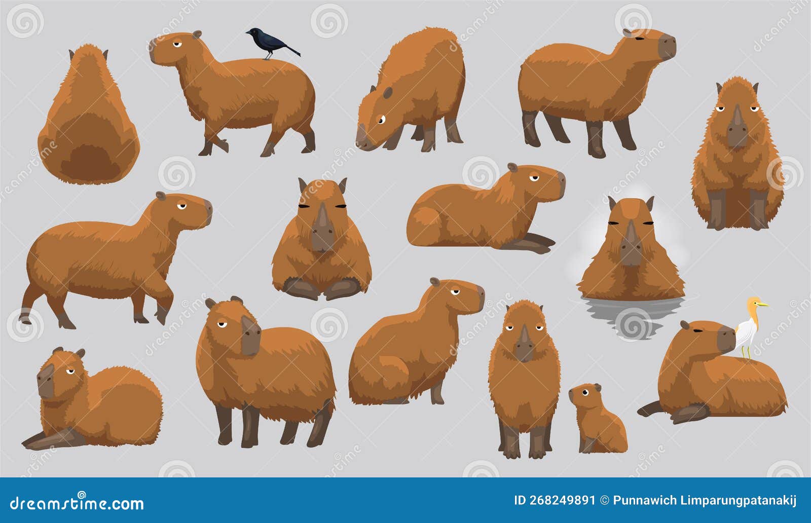 Capybara Various Cute Cartoon Poses Vector Illustration Stock Vector ...