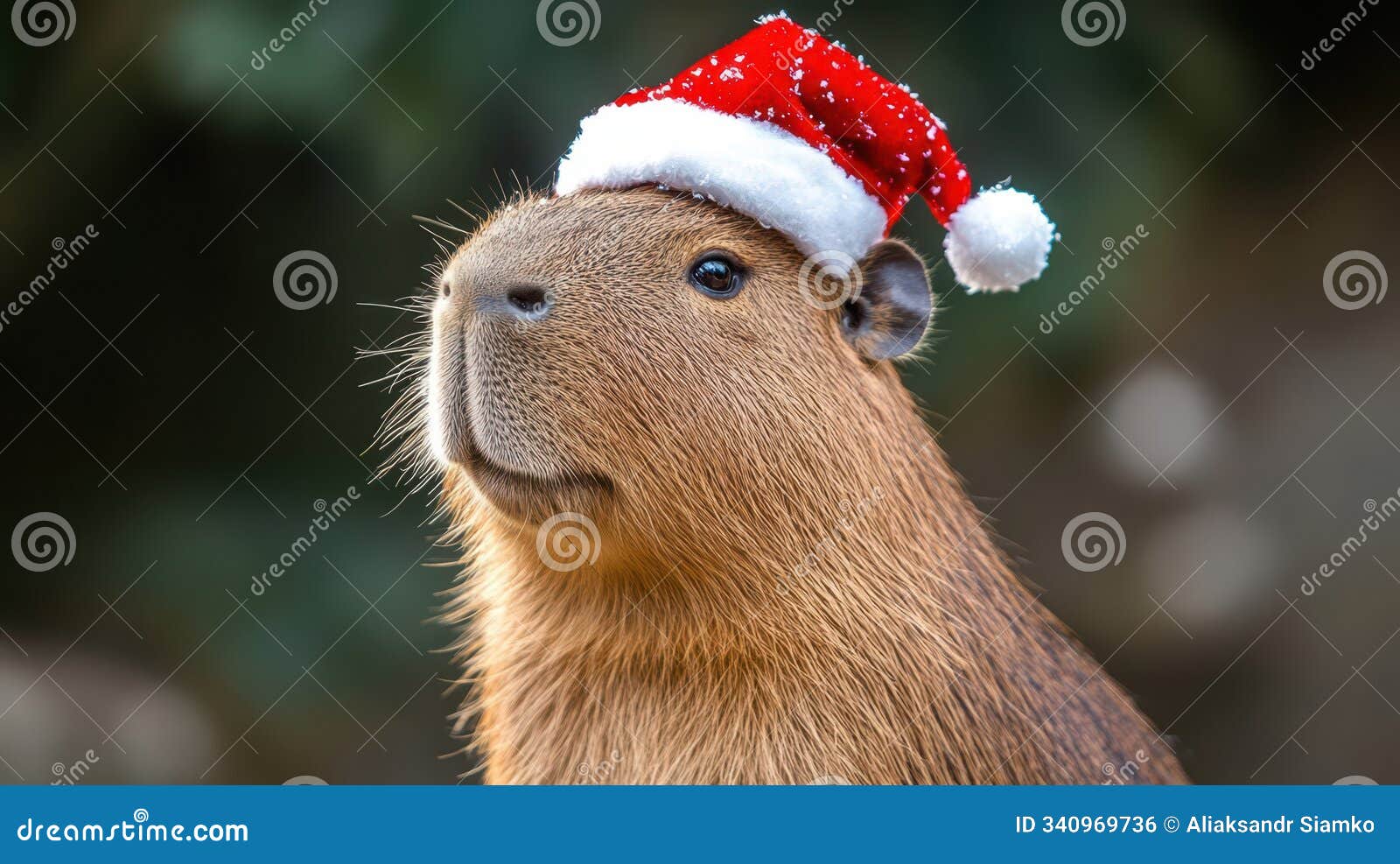 A Capybara Wearing a Santa Hat Stock Illustration - Illustration of ...