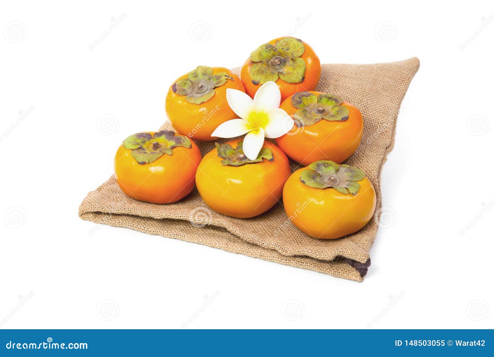 Caqui Con El Saco Aislado En El Fondo Blanco Imagen de archivo - Imagen ...