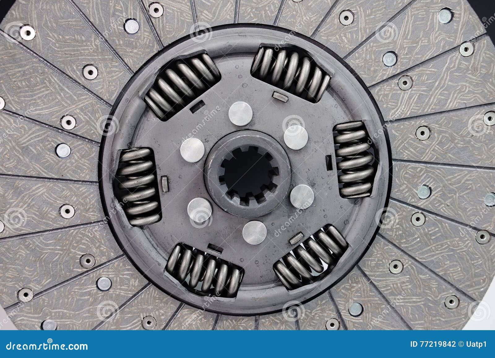 Lutch Stock Photos - Free & Royalty-Free Stock Photos from Dreamstime