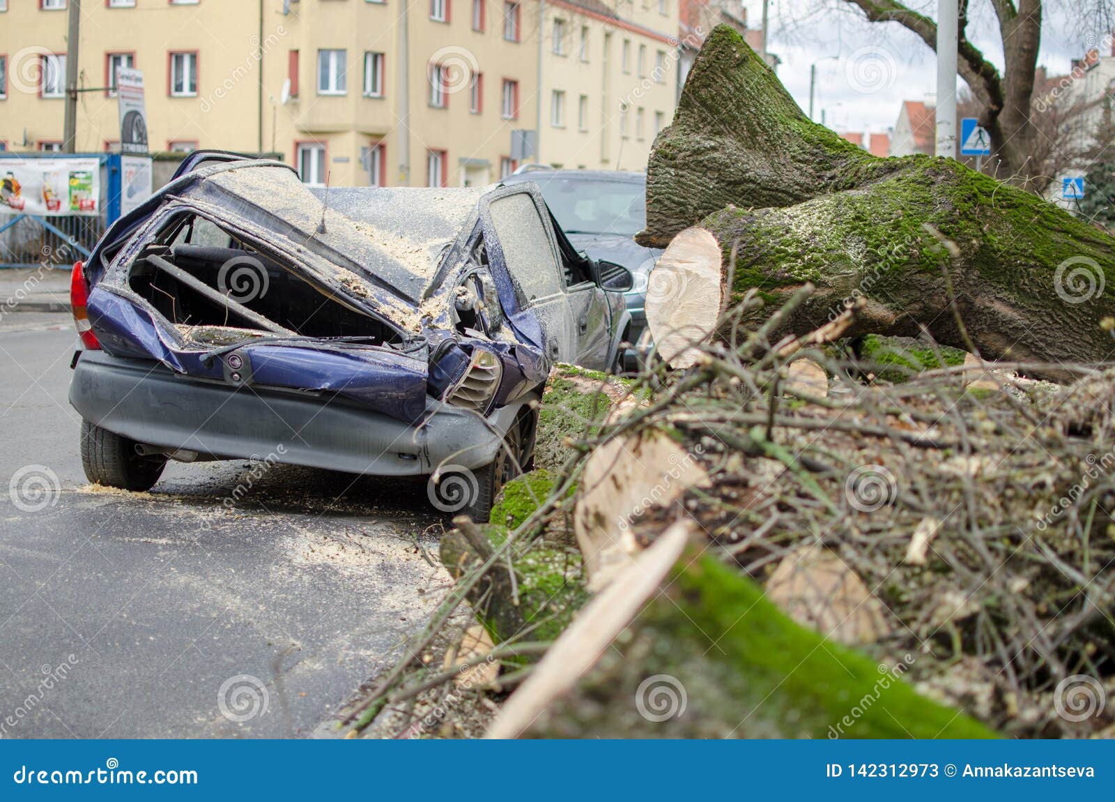 A Car after Accident. Big Old Tree Fell on the Car Stock Image - Image ...