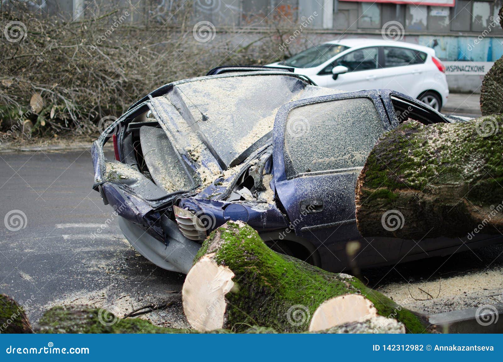 A Car after Accident. Big Old Tree Fell on the Car Stock Photo - Image ...