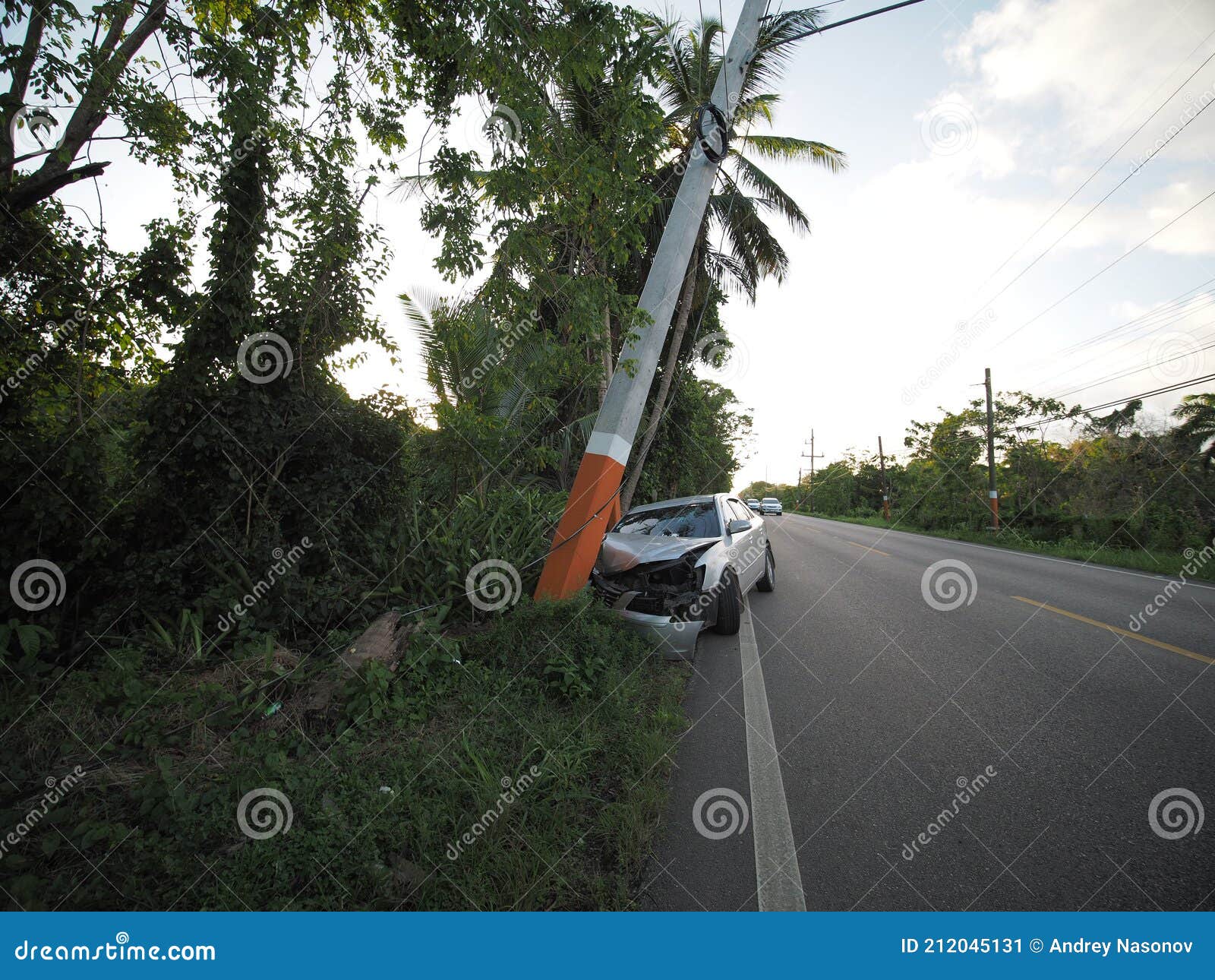 The Car Crashed into a Pole. Stock Image - Image of palm, crashed ...