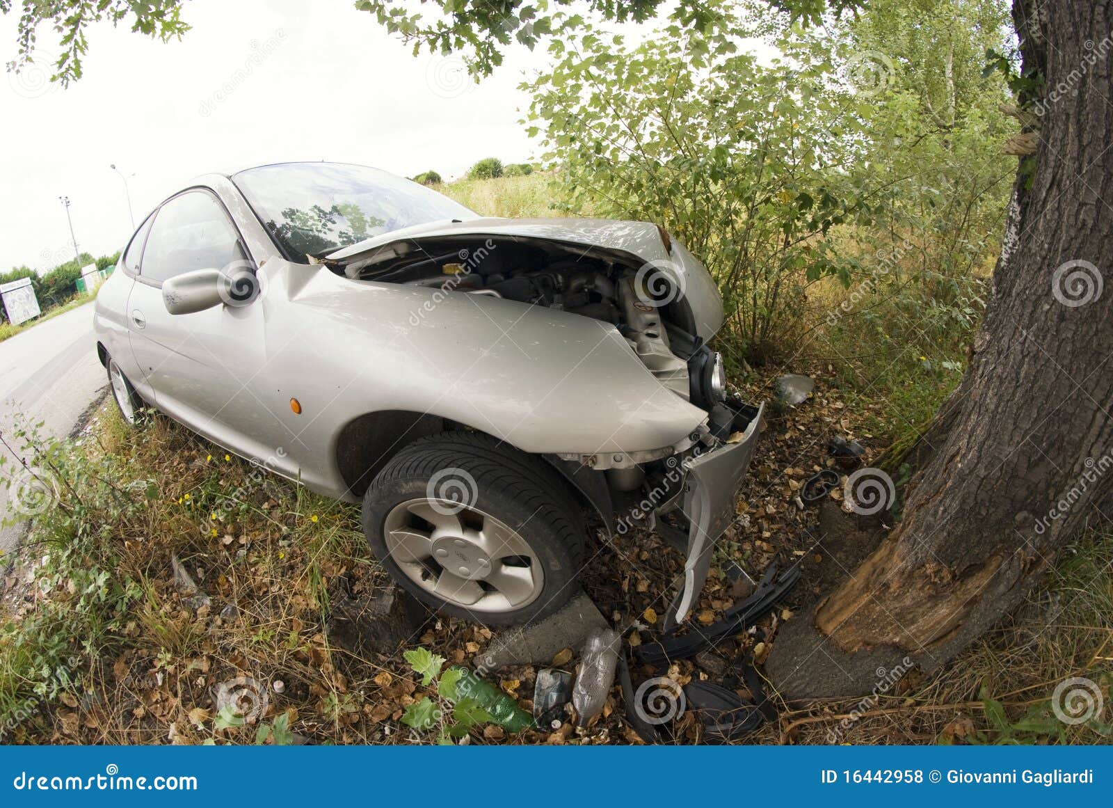 Car against a Tree, Italy stock photo. Image of repair - 16442958