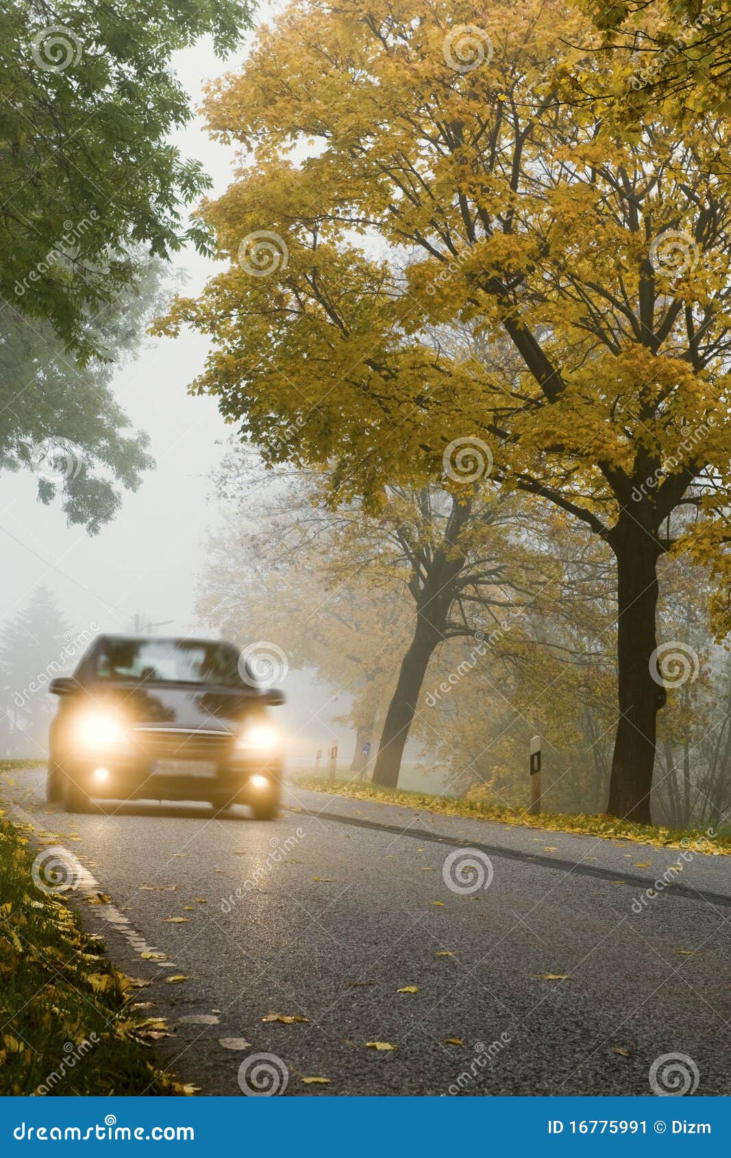 Car in autumn stock image. Image of yellow, motion, driving - 16775991