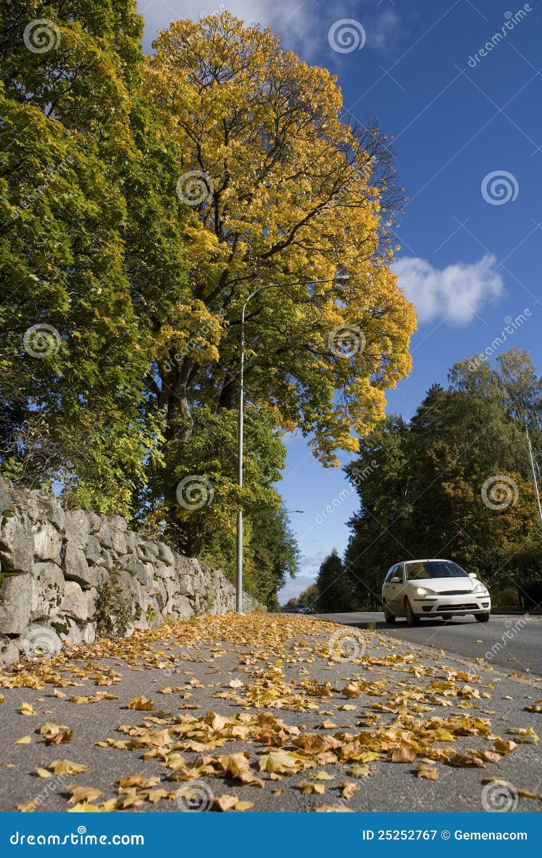 Car in Autumn stock image. Image of nature, line, forest - 25252767
