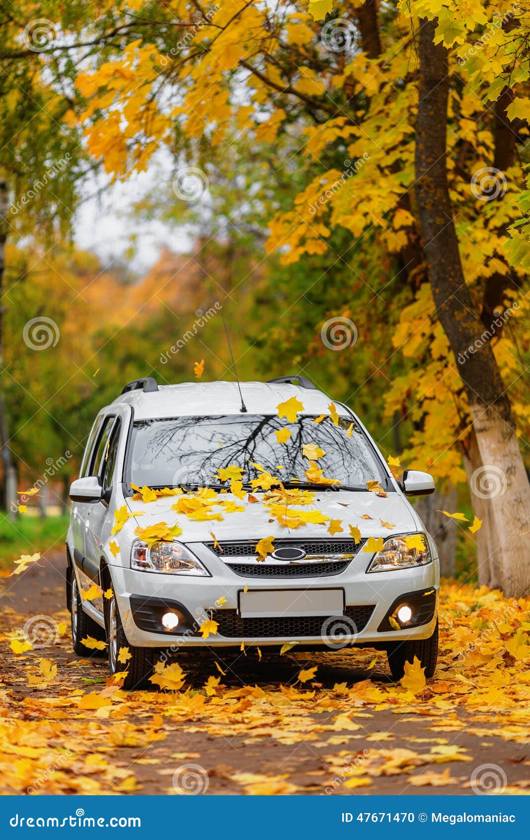 Car in autumn forest stock photo. Image of action, powerful - 47671470
