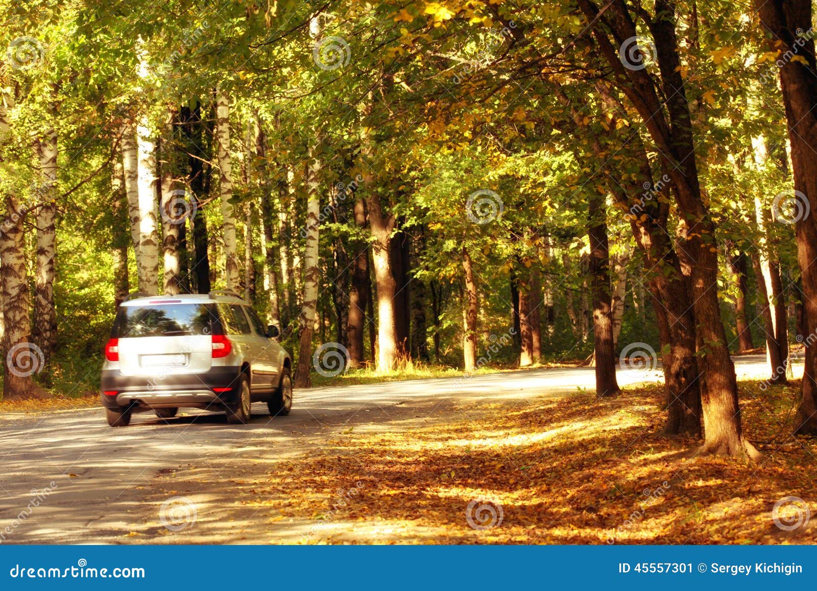 Car in the Autumn Forest Orange Stock Image - Image of driving, auto ...