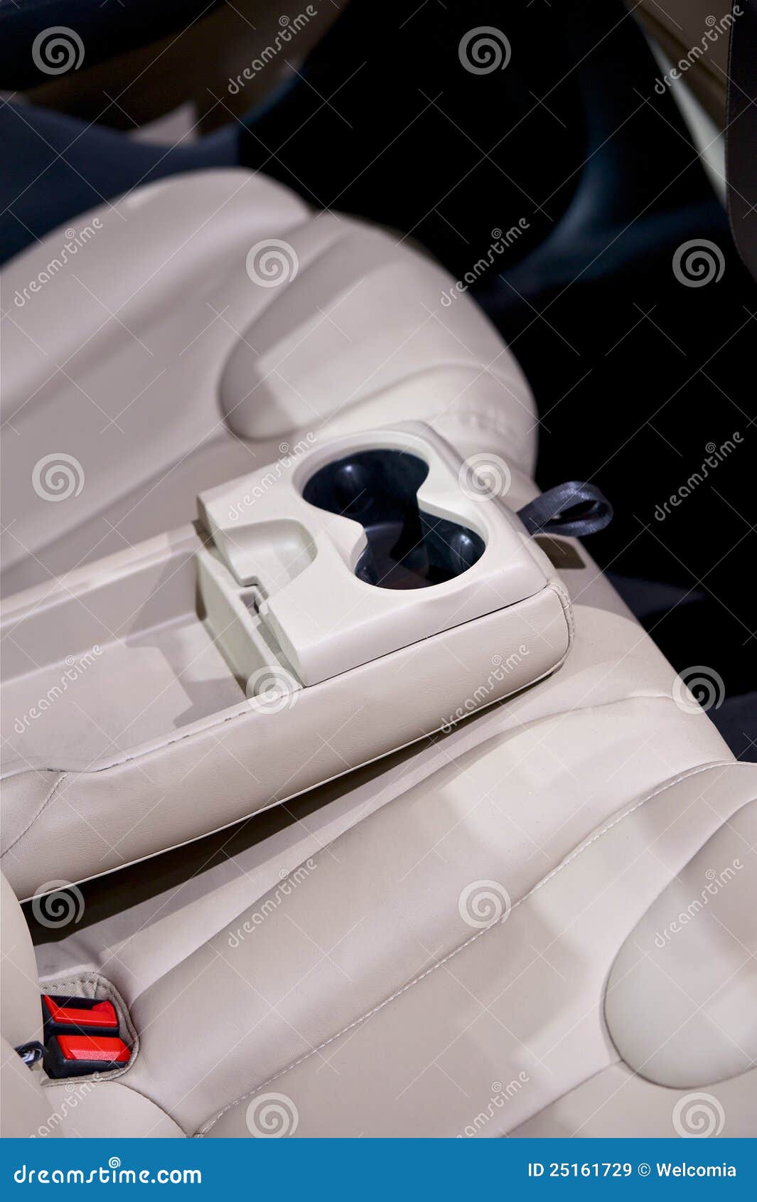 Car Back Seats stock image. Image of showroom, driving - 25161729