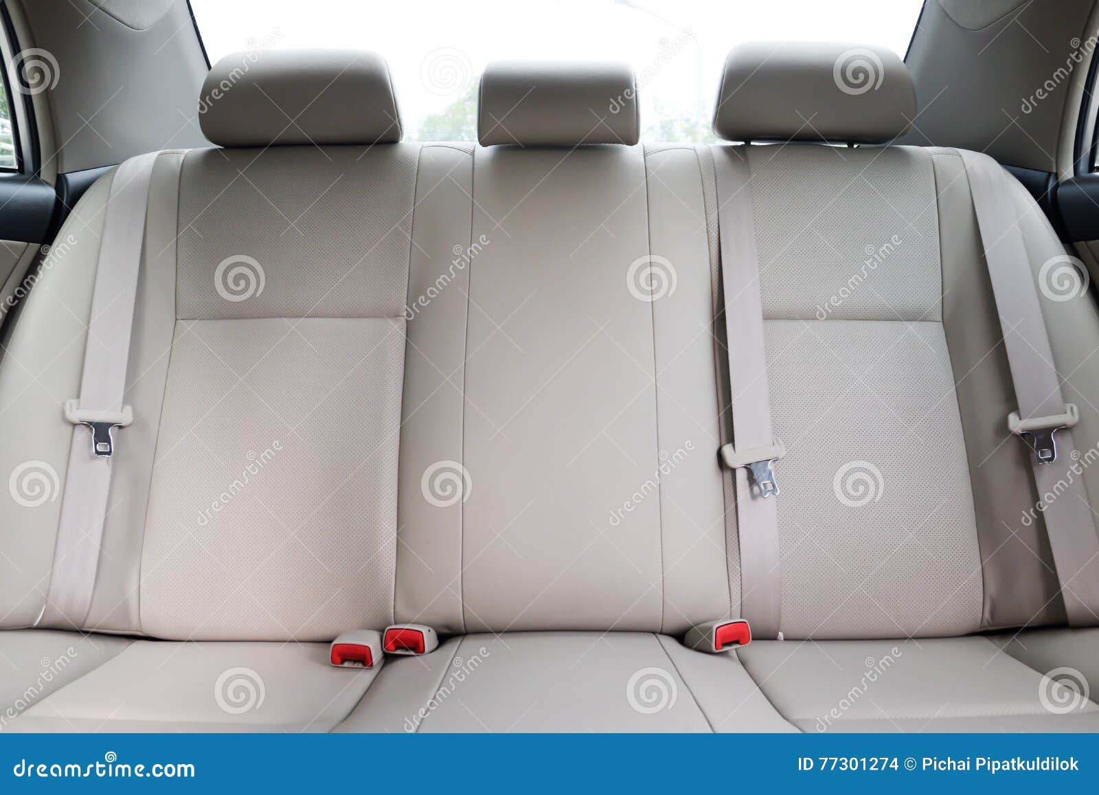 Car backseats stock photo. Image of comfortable, simple - 77301274