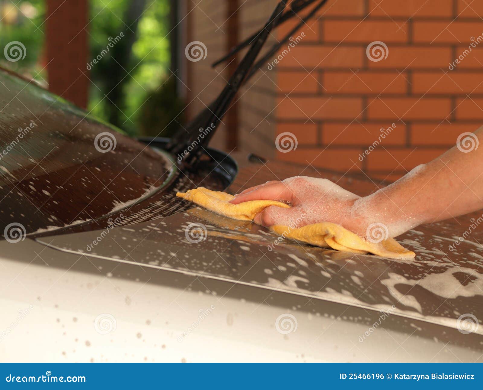 Car bonnet cleaning stock photo. Image of transport, dirt - 25466196
