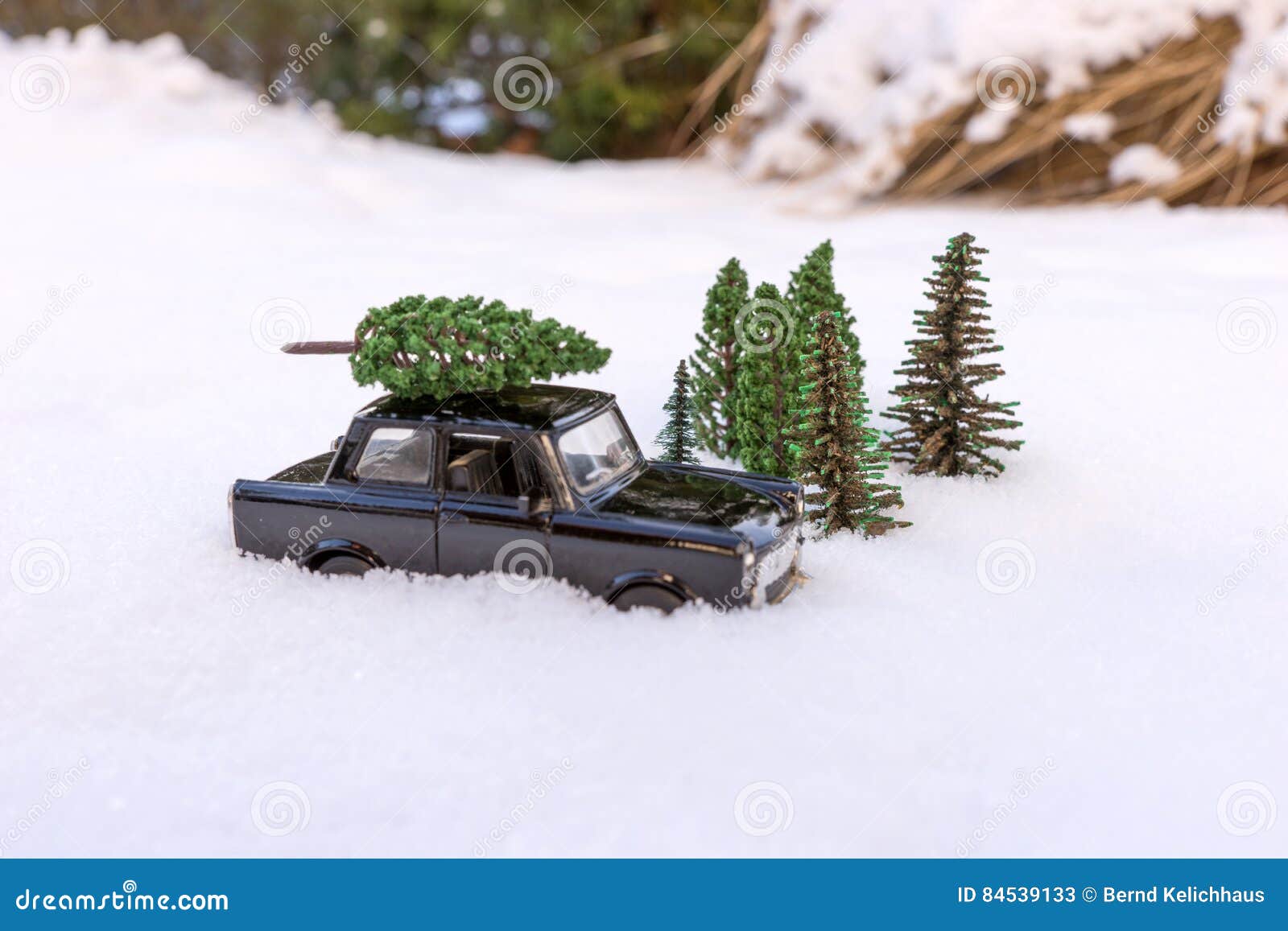 Car Carrying a Christmas Tree in Miniature Evergreen Forest Stock Image ...