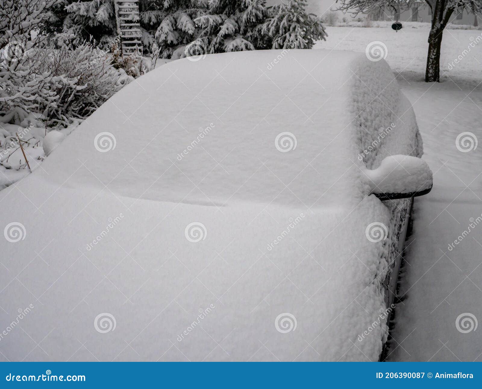 Car is Completely Covered with Snow Stock Image - Image of drive, snowy ...