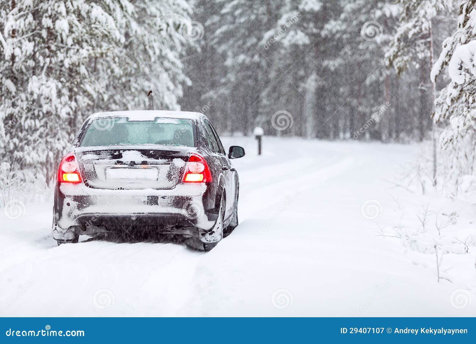 Car Country Road in Wintry Northern Forest Stock Image - Image of ...