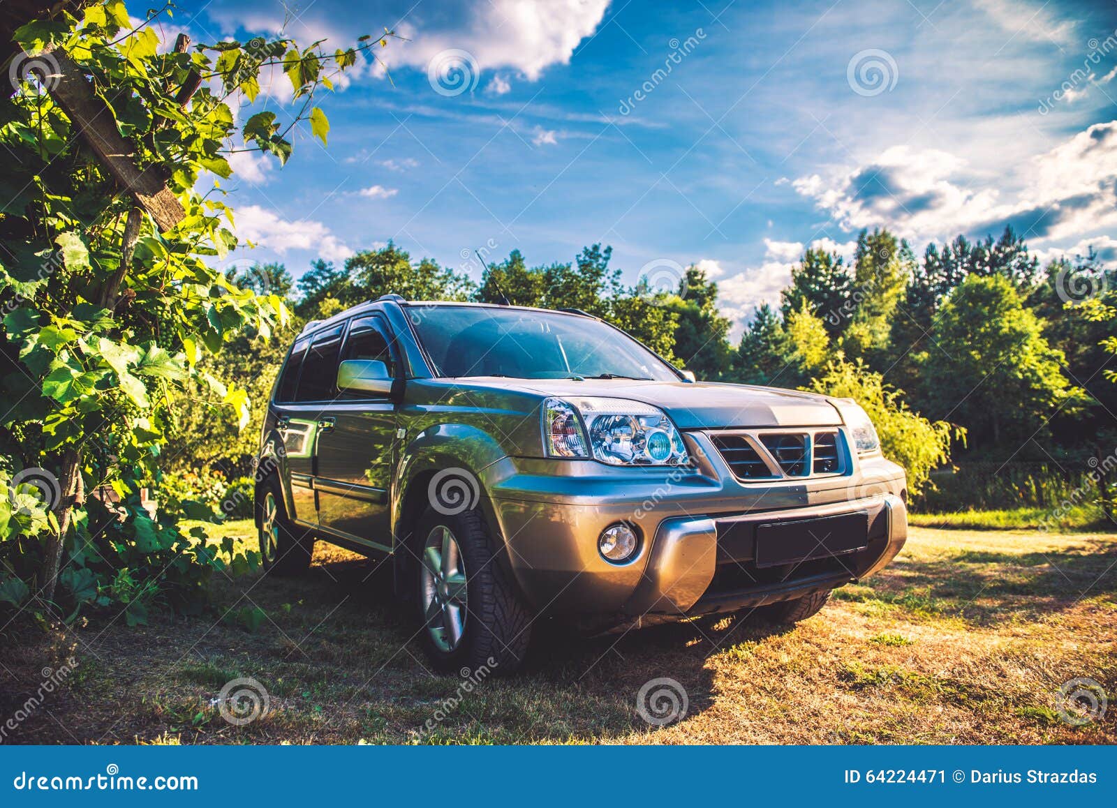 Car in countryside stock image. Image of road, transport - 64224471