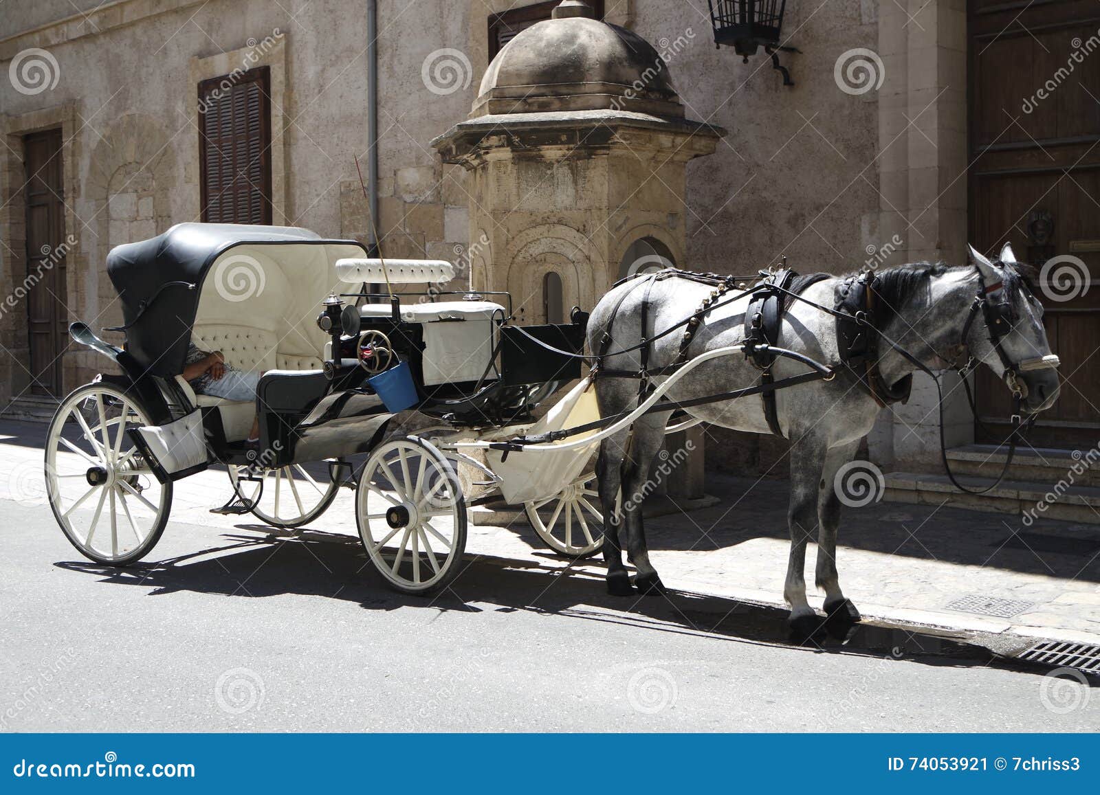 Car De Cheval Dans Le Palma Image stock - Image du horizontal ...
