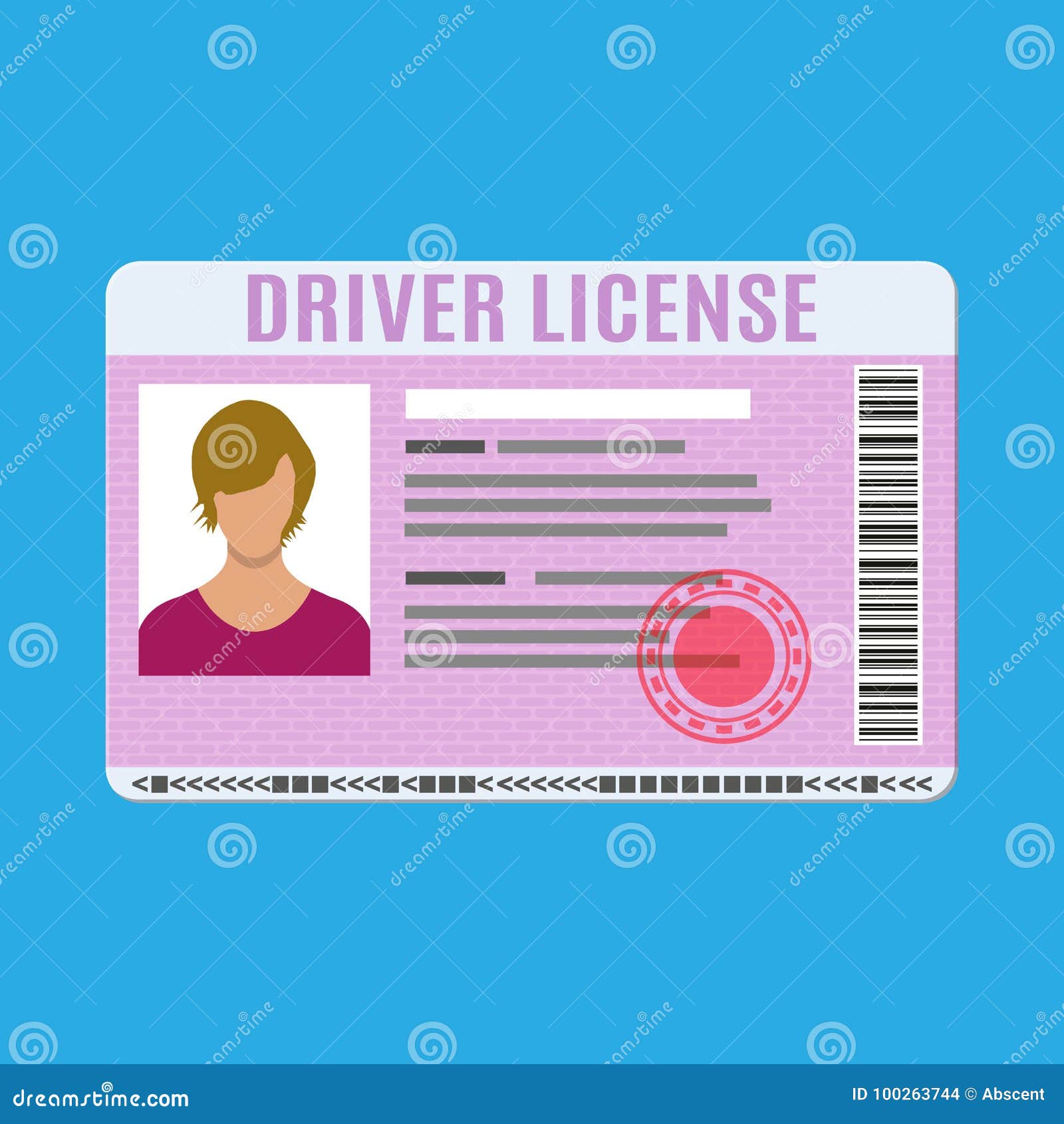 Car Driver License Identification Card with Photo. Stock Vector ...