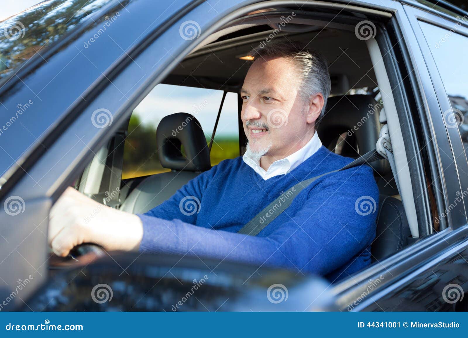 Car driver stock image. Image of purchase, motion, pleasure - 44341001