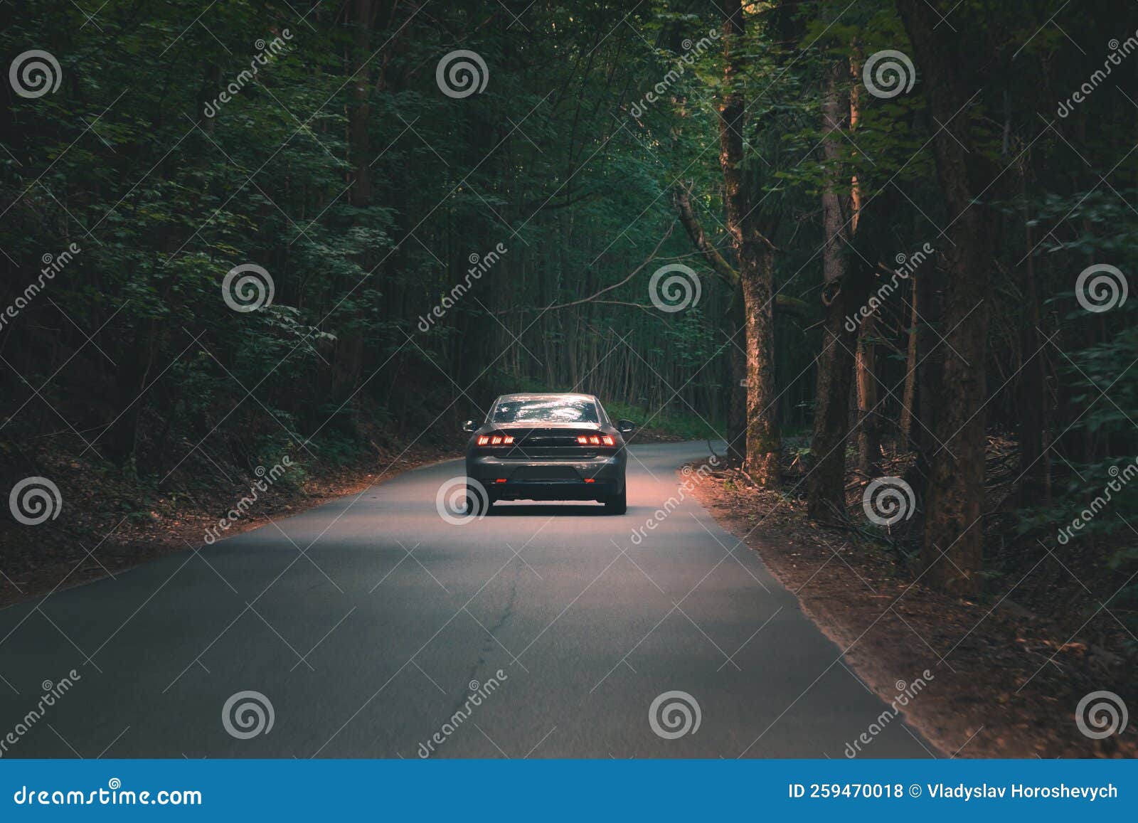 The Car Drives through a Dense Dark Forest Editorial Stock Photo ...