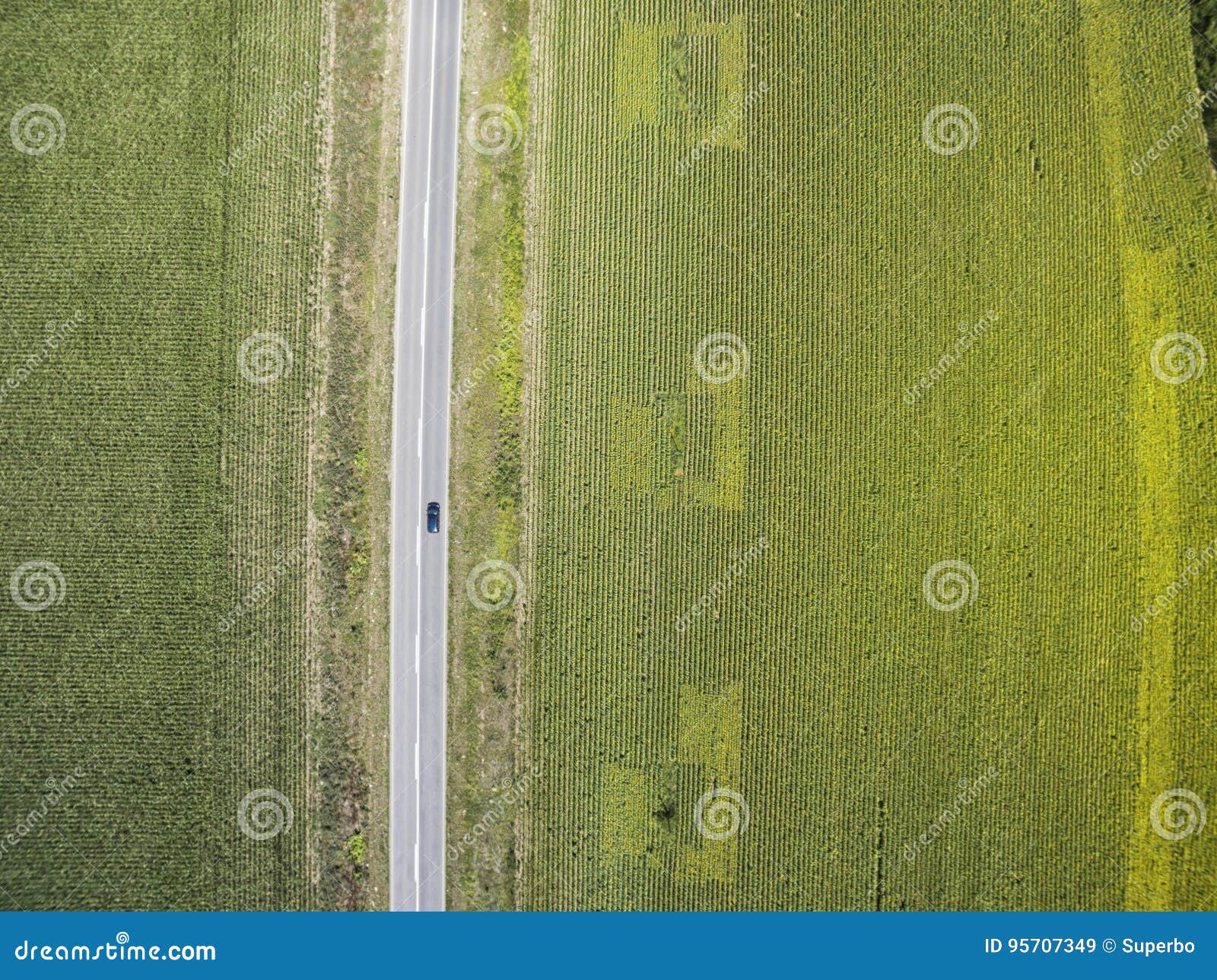 Car Driving through Agricultural Fields Stock Image - Image of driving ...