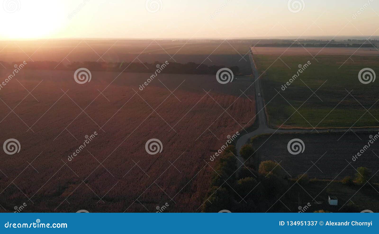 Car Driving through Corn Fields Stock Video - Video of natural, land ...
