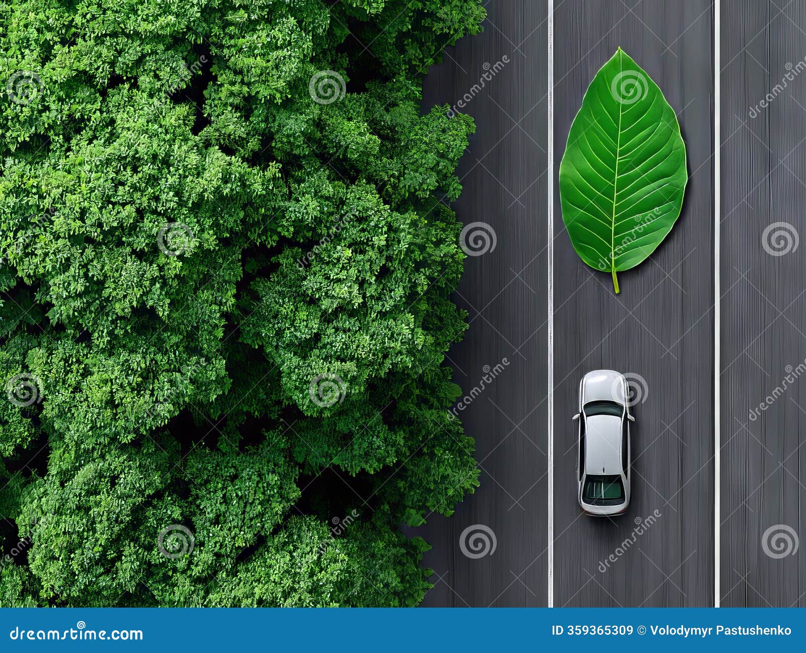 A Car Driving Down a Road Next To a Green Leaf Stock Image - Image of ...