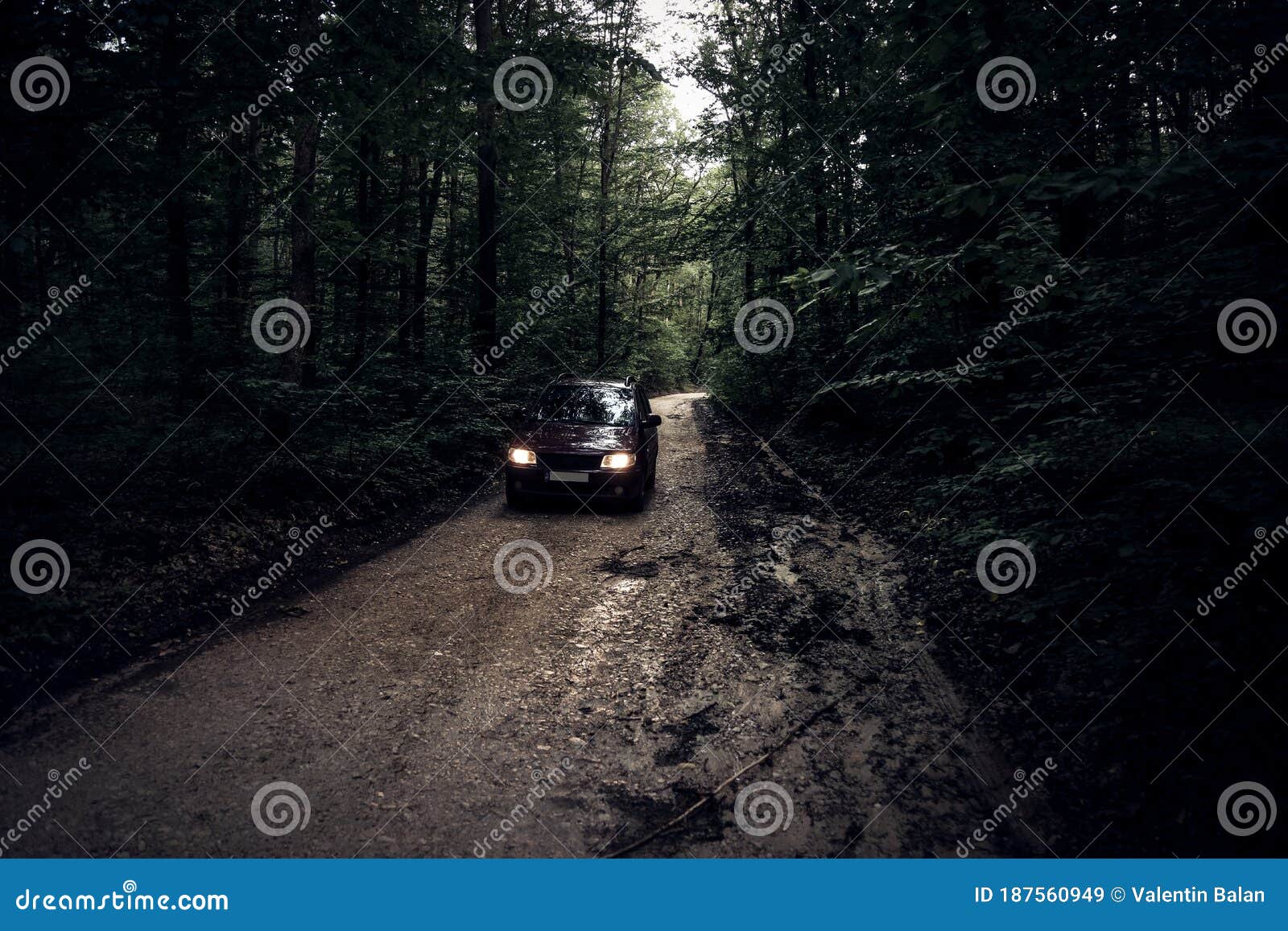Car driving into a forest. stock image. Image of forest - 187560949