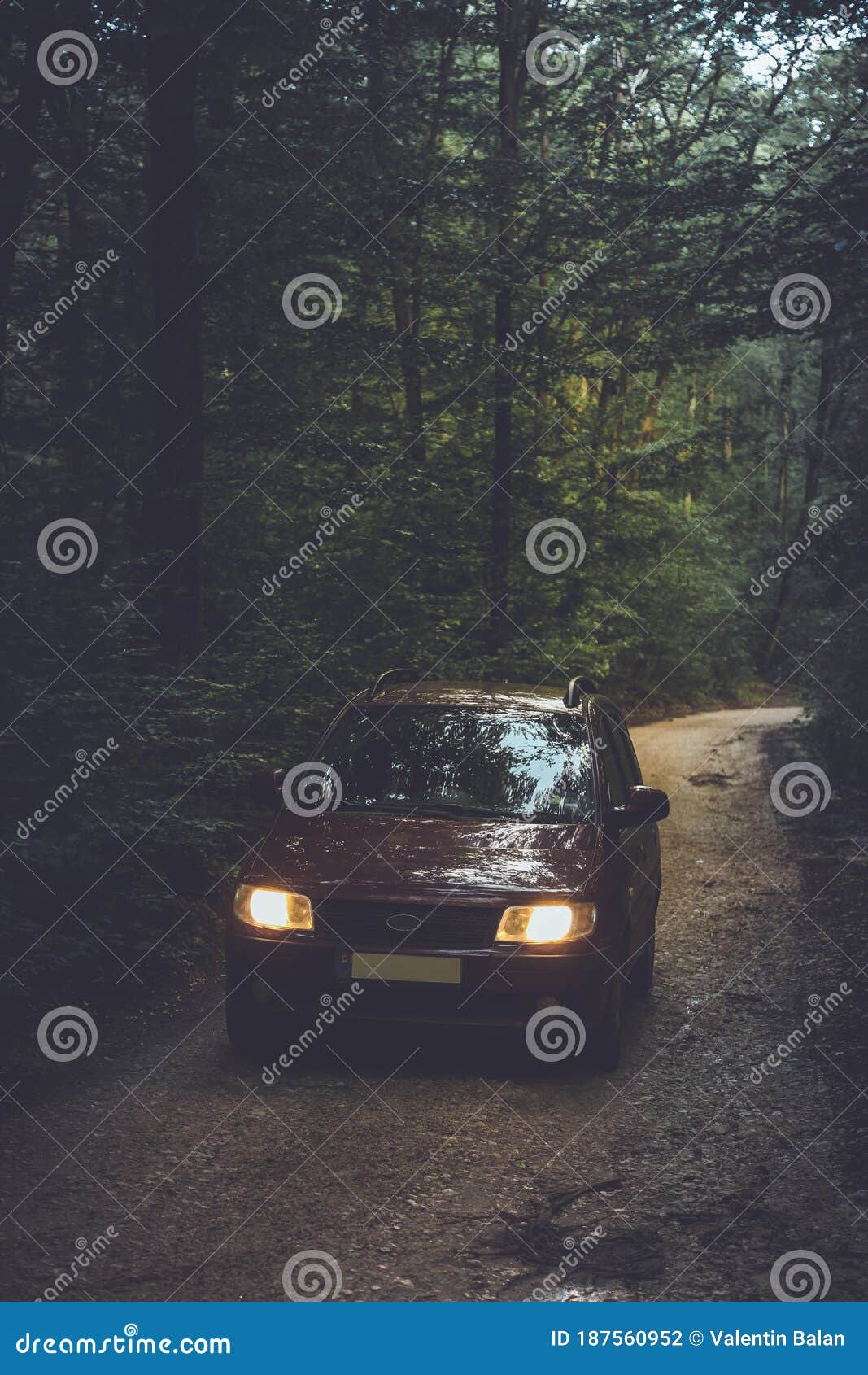 Car driving into a forest. stock photo. Image of forest - 187560952