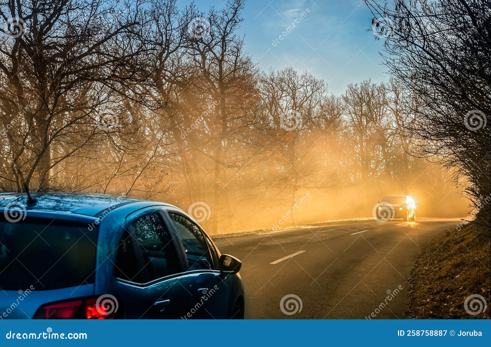 Car Driving on Foggy Forest Road Stock Image - Image of searchlights ...