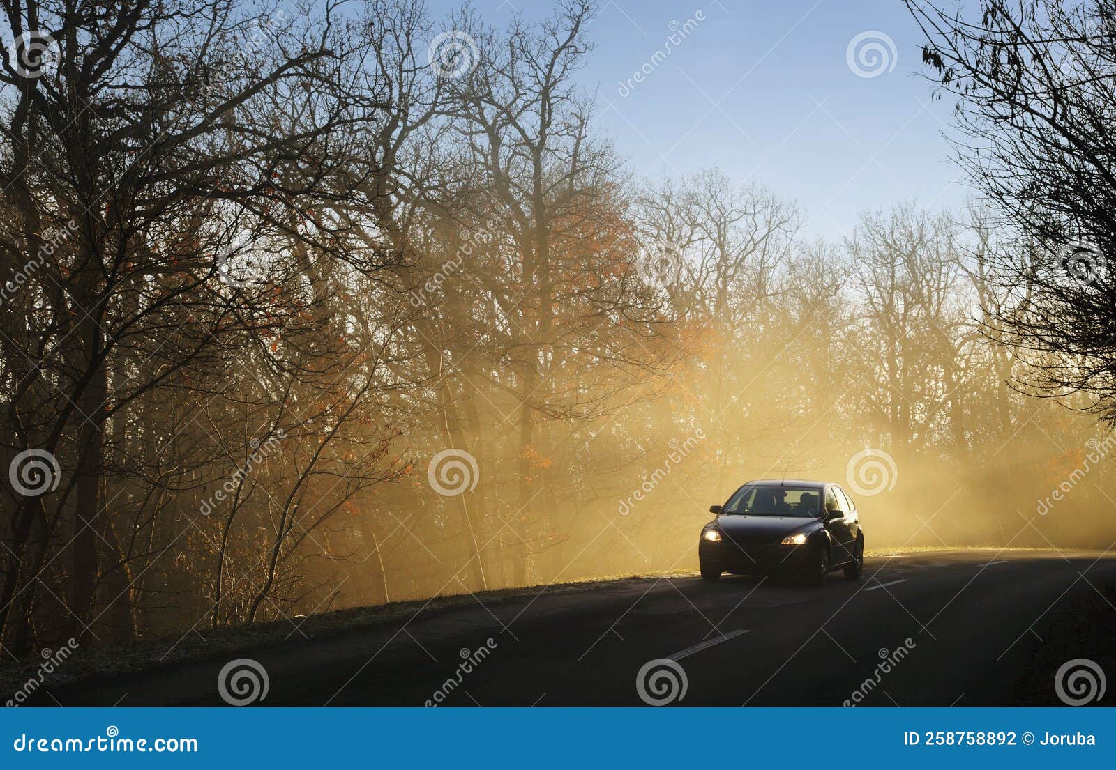 Car Driving on Foggy Forest Road Stock Photo - Image of sunray ...