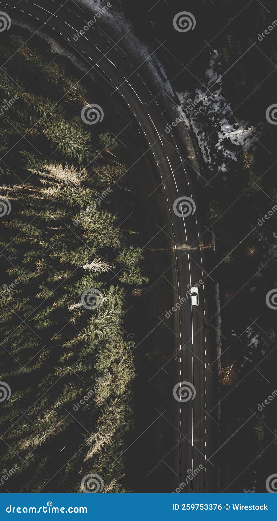 Car Driving on Highway Along the Lush Forest, Aerial, Vertical Stock ...