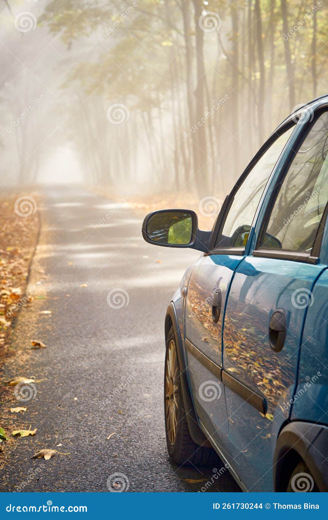 Car Driving into Mist Forest Stock Photo - Image of forest, sunlight ...