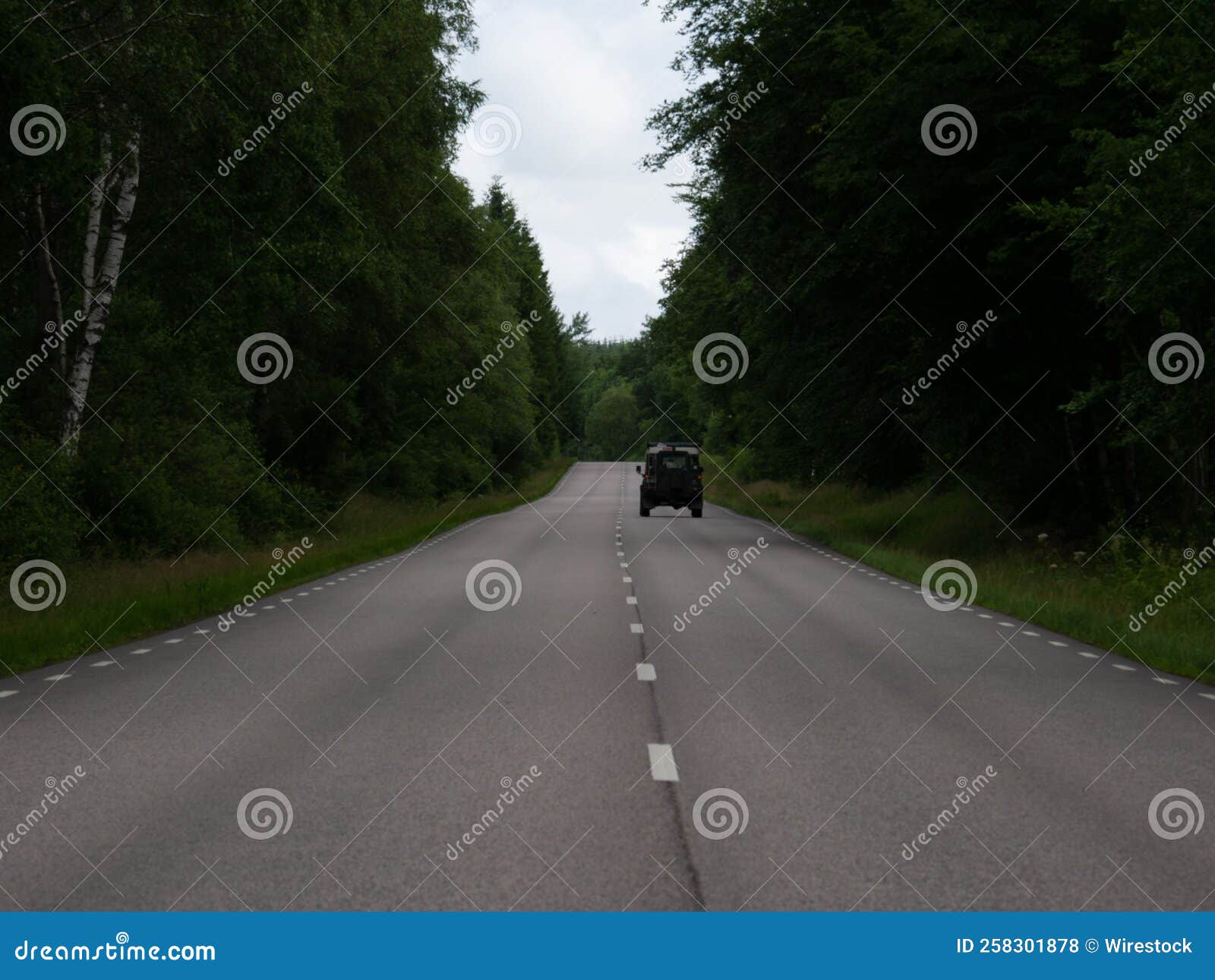 Car Driving on an Open Road Surrounded with Evergreen Trees Stock Photo ...
