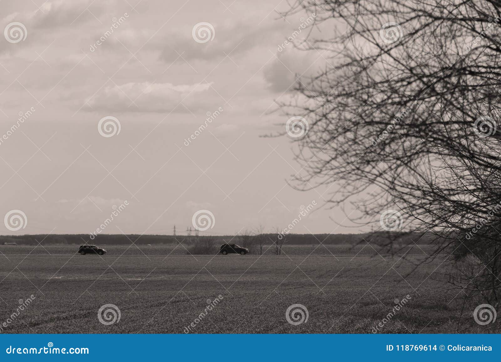 Car driving in the wild stock photo. Image of transportation - 118769614