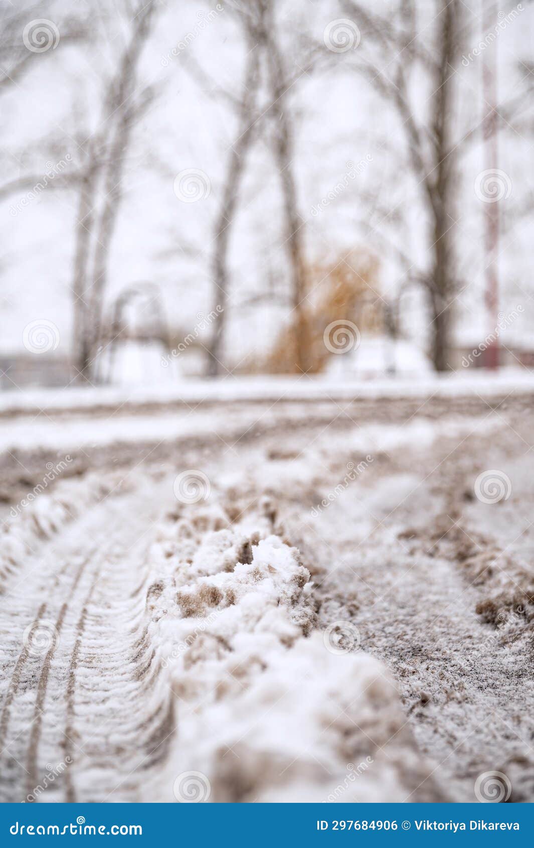A Car Drove through the First White Snow and the Snow Turned Gray ...