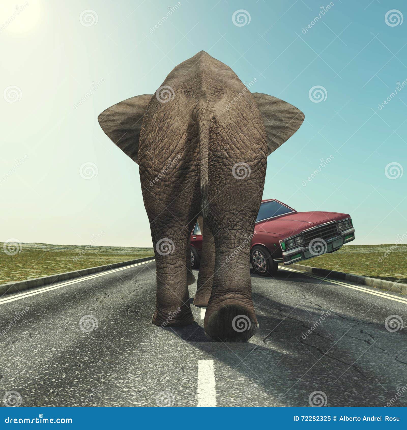 Car and elephant stock illustration. Illustration of destination - 72282325