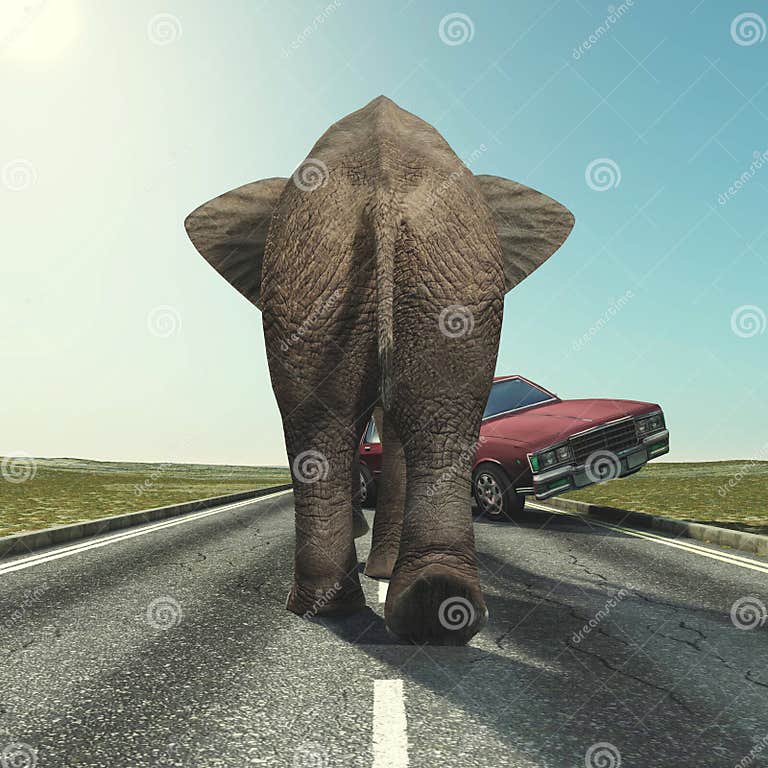Car and elephant stock illustration. Illustration of destination - 72282325