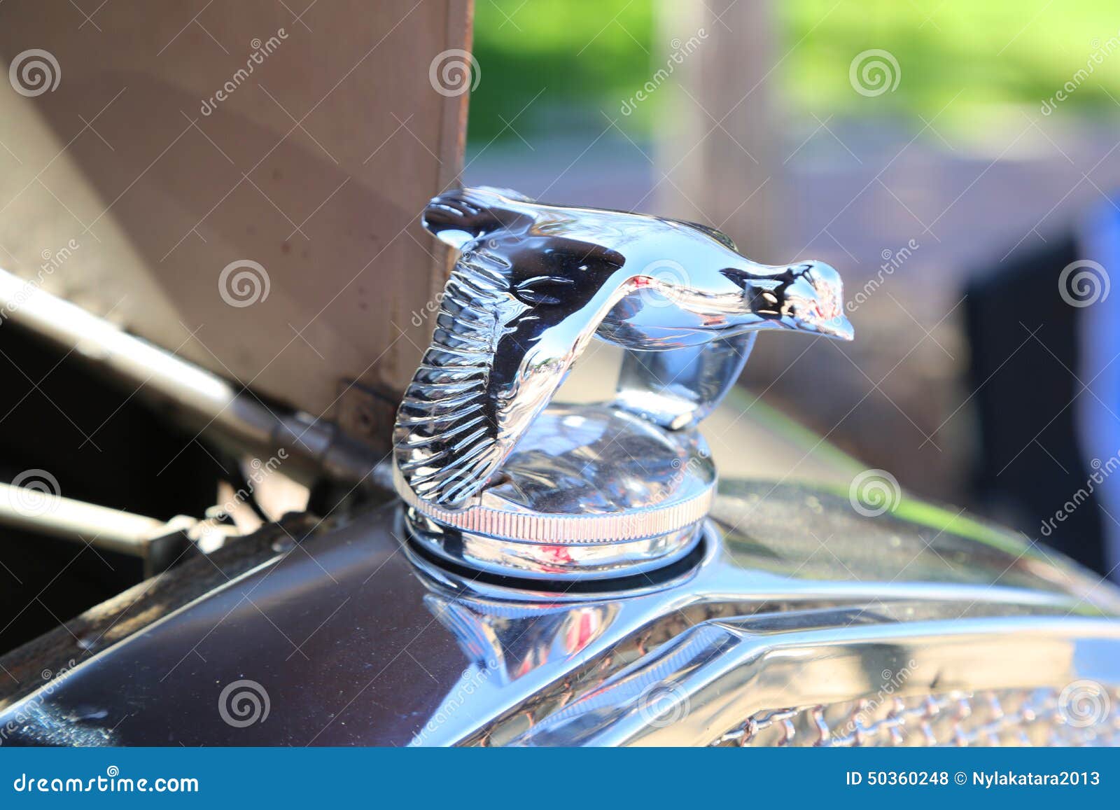 Car emblem stock photo. Image of custom, styling, system - 50360248