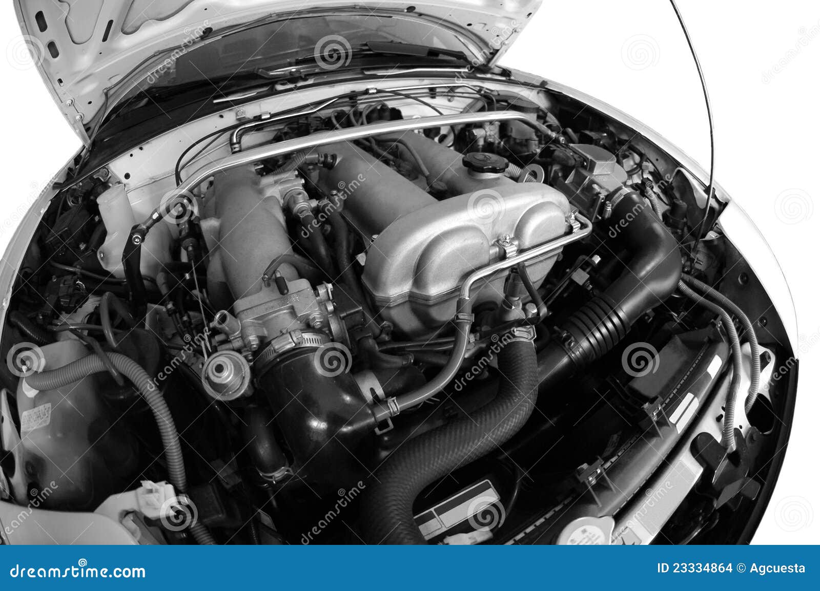 Car Engine stock photo. Image of gasoline, sportscar - 23334864
