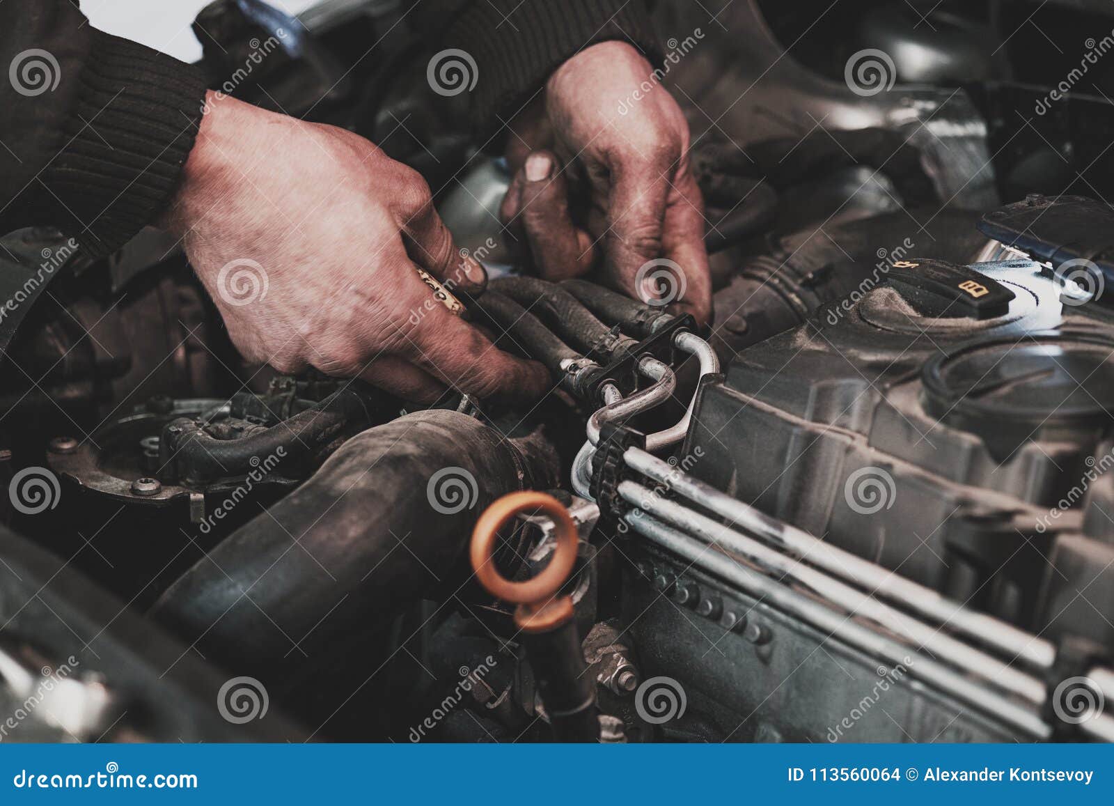 Car engine checking stock photo. Image of grease, hanging - 113560064